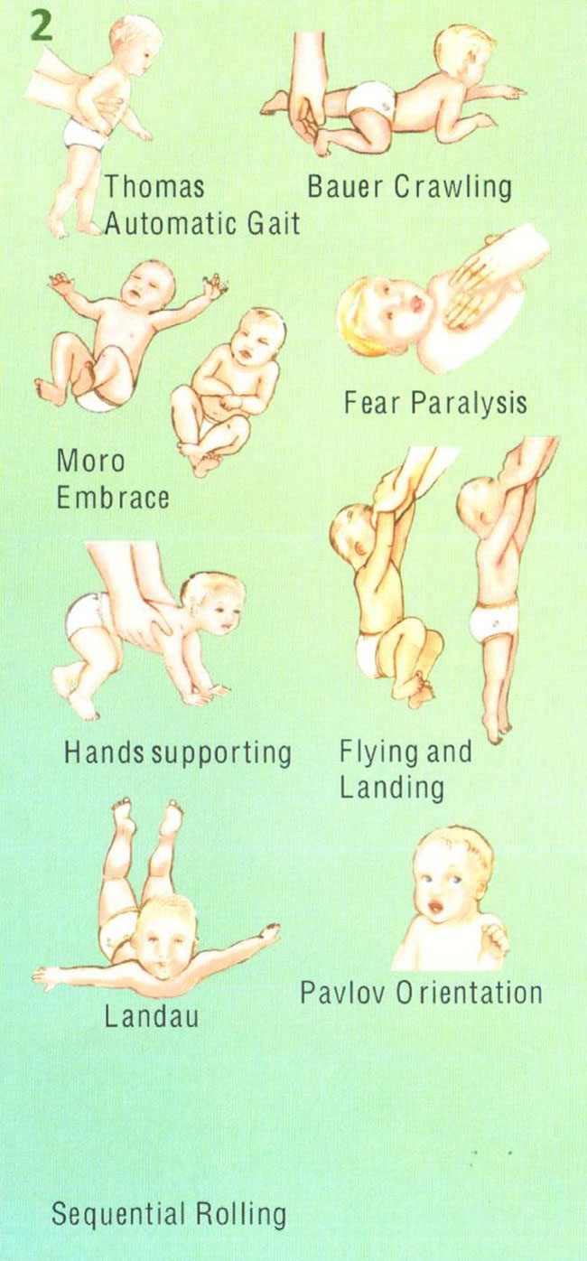 VUKOV CENTAR Masgutova metoda MNRI metoda - Vukov centar - Therasuit Srbija